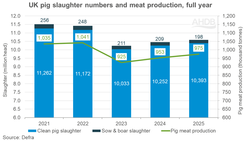 Another strong year for UK production: Pork Market Update | AHDB