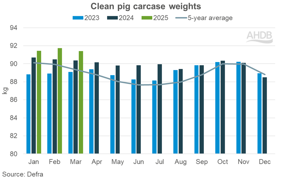 UK pig meat production: Q1 2025 marches upwards | AHDB