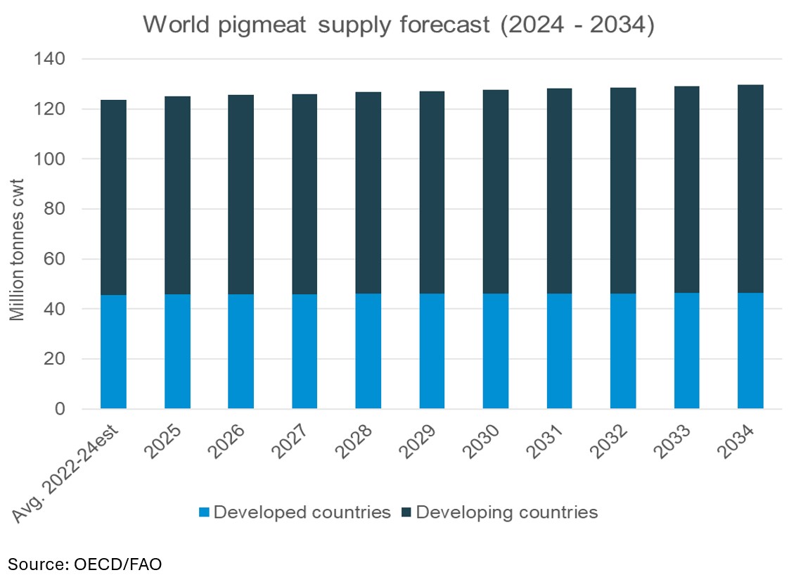 Long-term global pig meat supply: Asia to drive growth to 2034 | AHDB