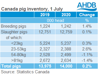 Strong Canadian pork exports driven by Chinese demand | AHDB