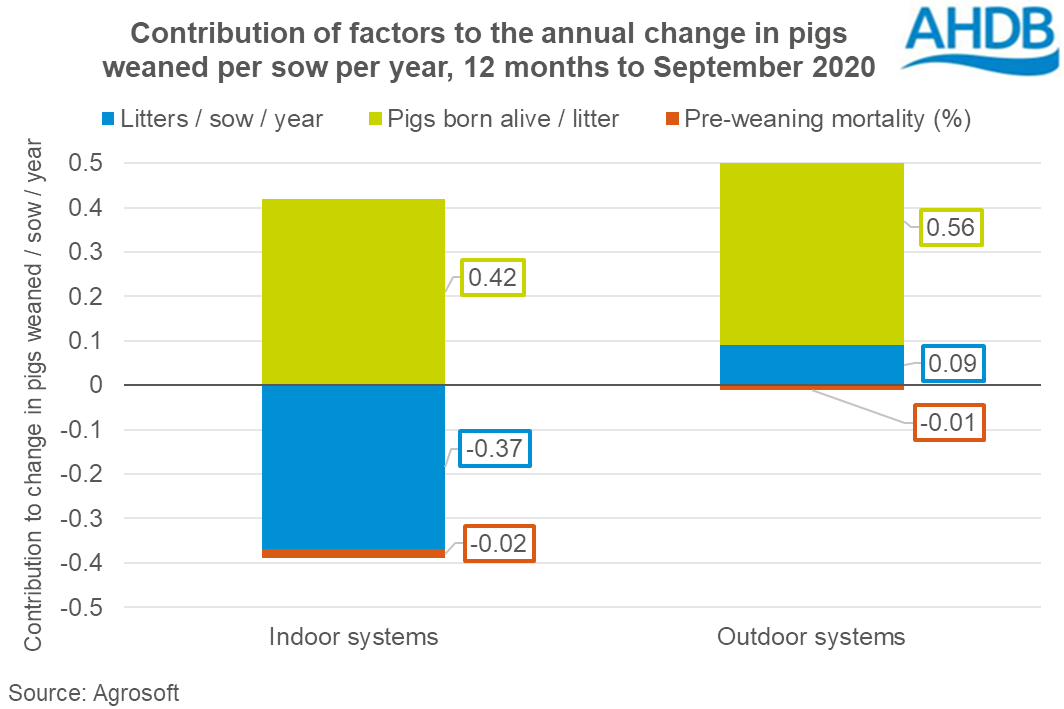 Improvements in GB breeding herd performance stall in Q3 | AHDB