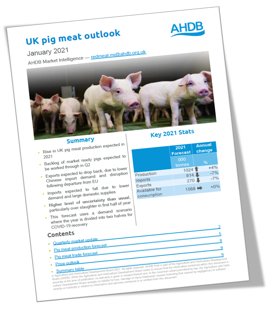 UK pig meat production forecast to surpass 1 million tonnes this year ...