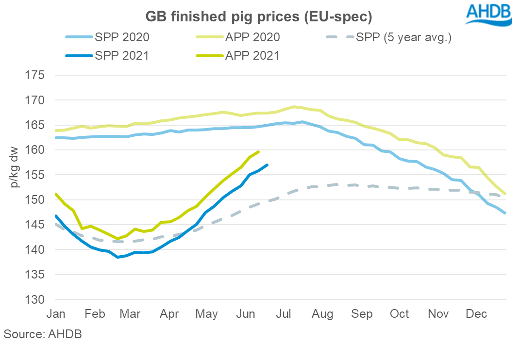GB finished pig prices up again | AHDB