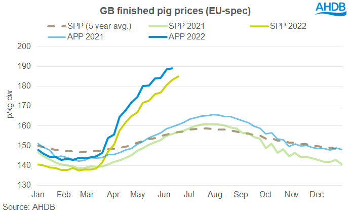 GB pig prices rise further | AHDB