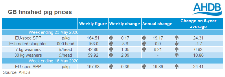 Pig prices rise across the board | AHDB
