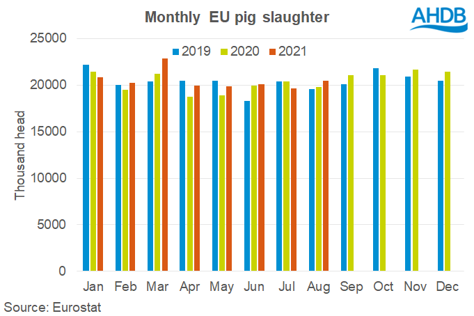 EU pig slaughter similar to last year across July and August | AHDB