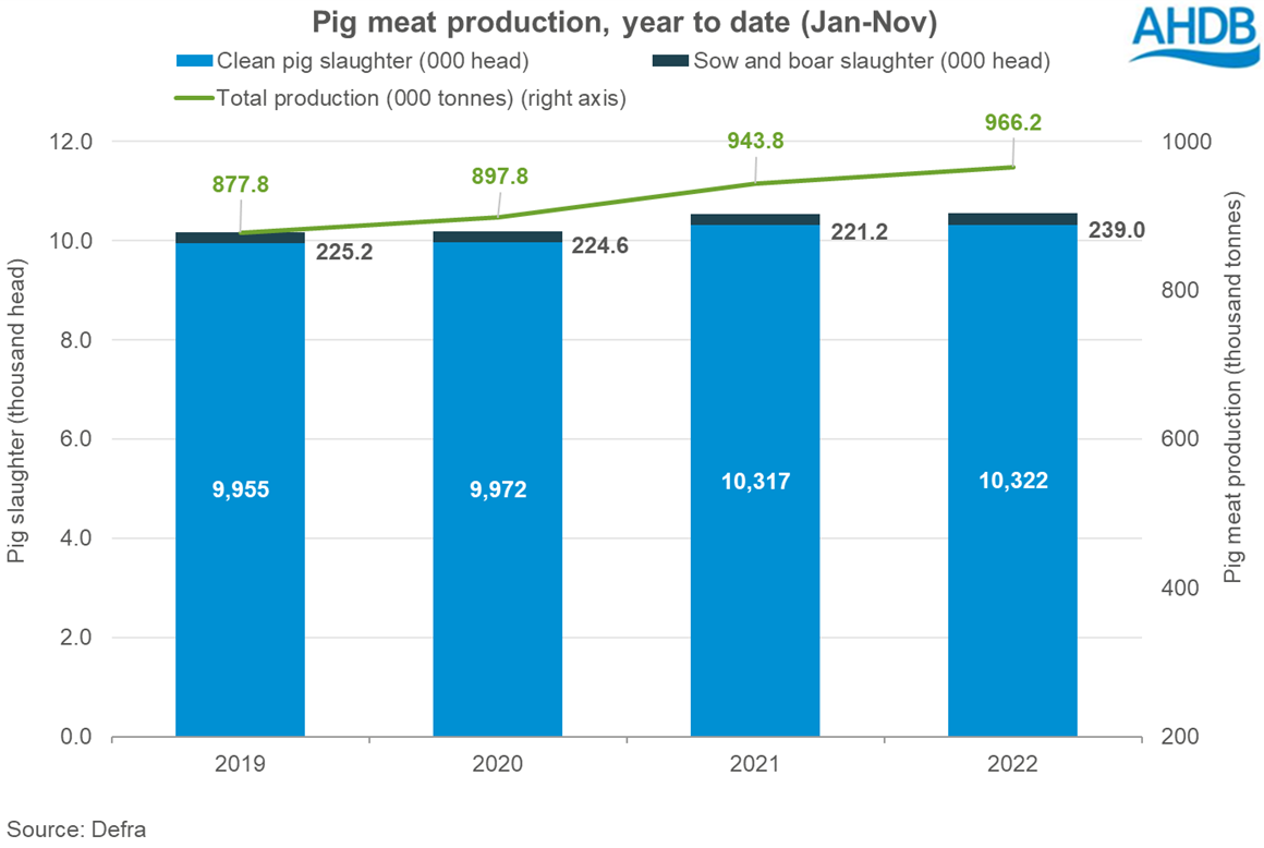 Strong production growth for pig meat in November | AHDB