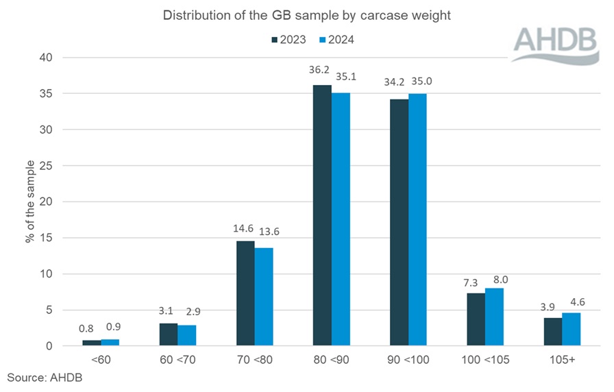 Carcase classification | AHDB