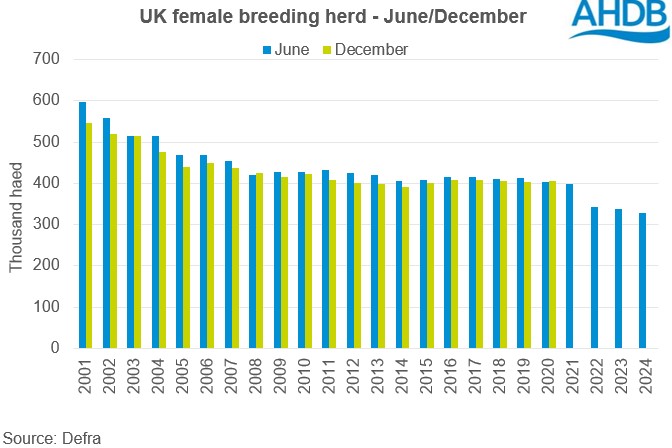 UK pig numbers and holdings | AHDB