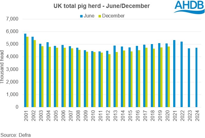 UK pig numbers and holdings | AHDB
