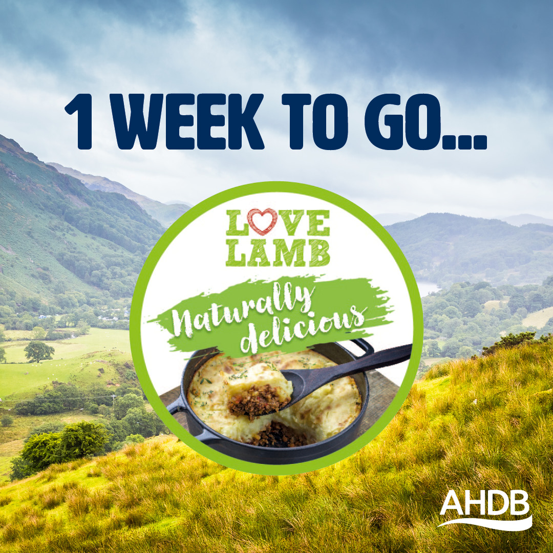 Love Lamb Week 2023 | AHDB