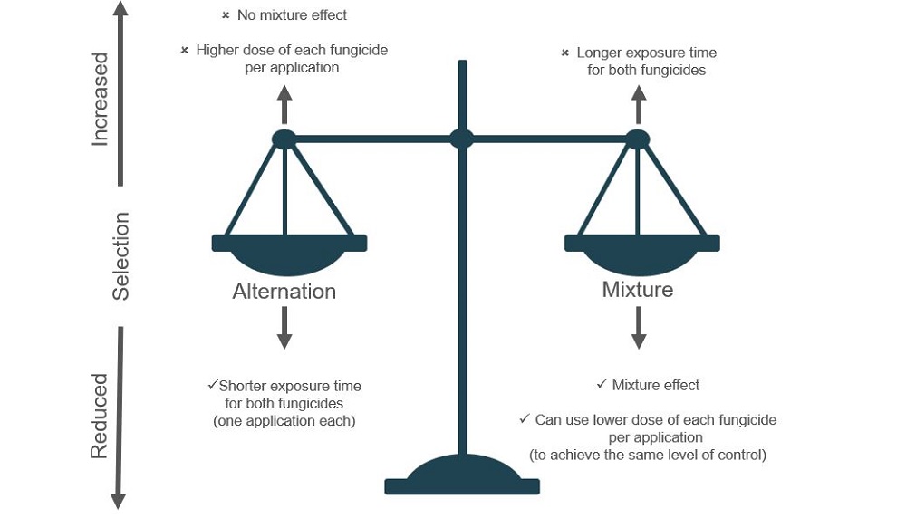 The computer model that predicts fungicide resistance | AHDB