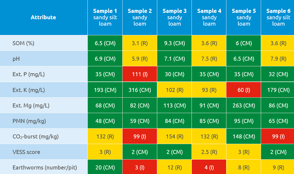 Soil health scorecard seeds companion crop push at Monitor Farm | AHDB