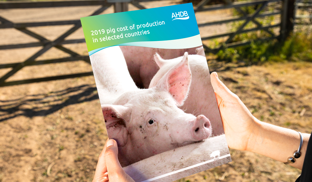 Cost Of Pig Production 2019 AHDB cost-of-pig-production-2019-ahdb