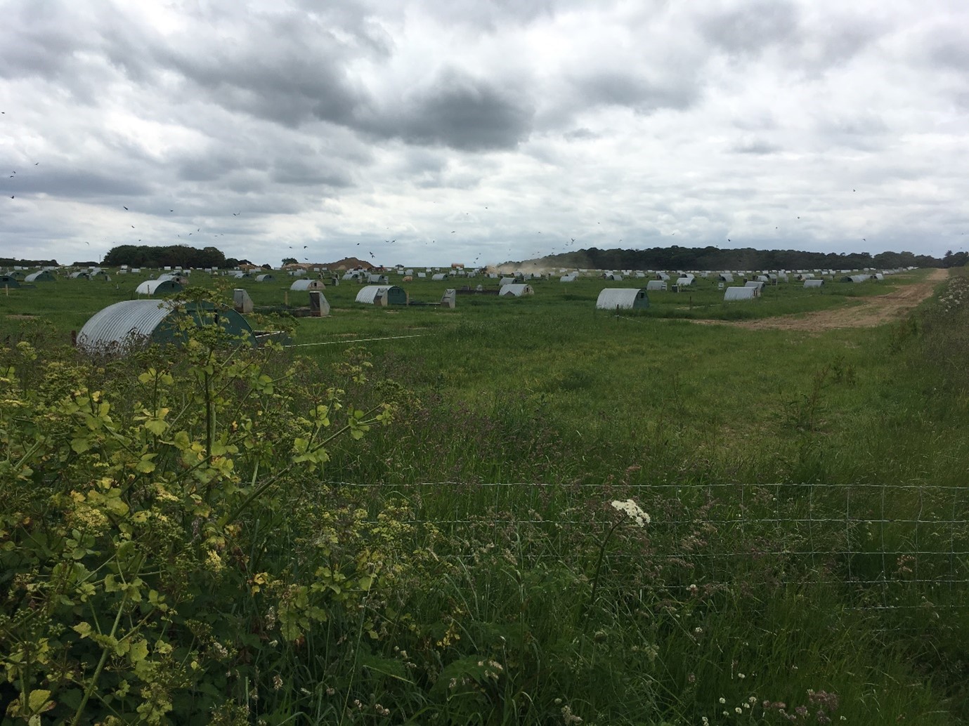 BLOG: Ten top tips to reduce the impact of wetter winters on outdoor ...