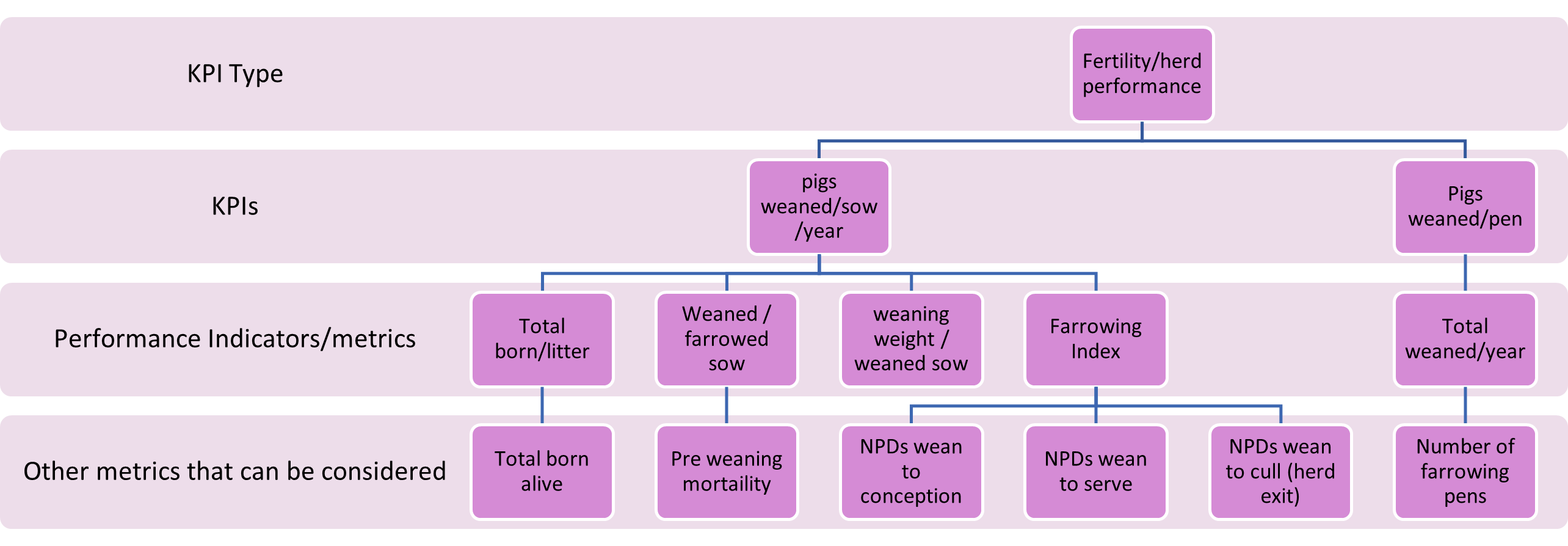 Pork KPIs – productivity | AHDB