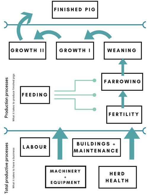 Pork Key Performance Indicators (KPIs) | AHDB