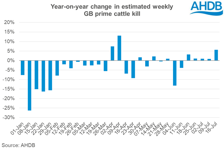 Cattle prices tick down again | AHDB