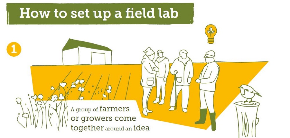 Innovative Farmers field labs | AHDB