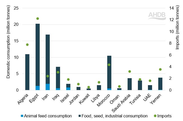 Middle East and North Africa (MENA): How much do they consume? | AHDB