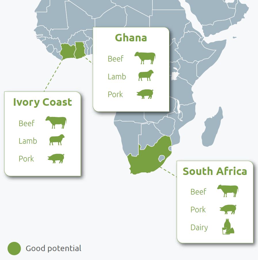 Prospects for UK agri-food exports: Sub-Saharan Africa | AHDB