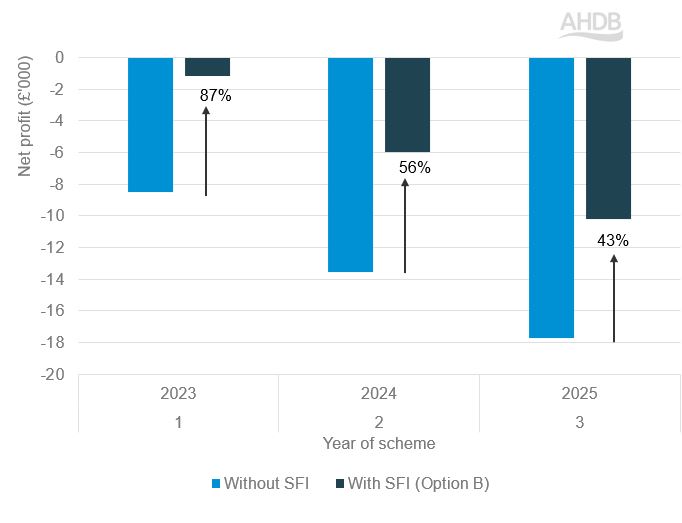 Stacking options for SFI 2023: Beef and lamb | AHDB