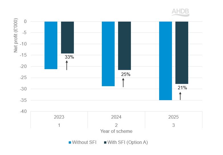 Stacking options for SFI 2023: Beef and lamb | AHDB