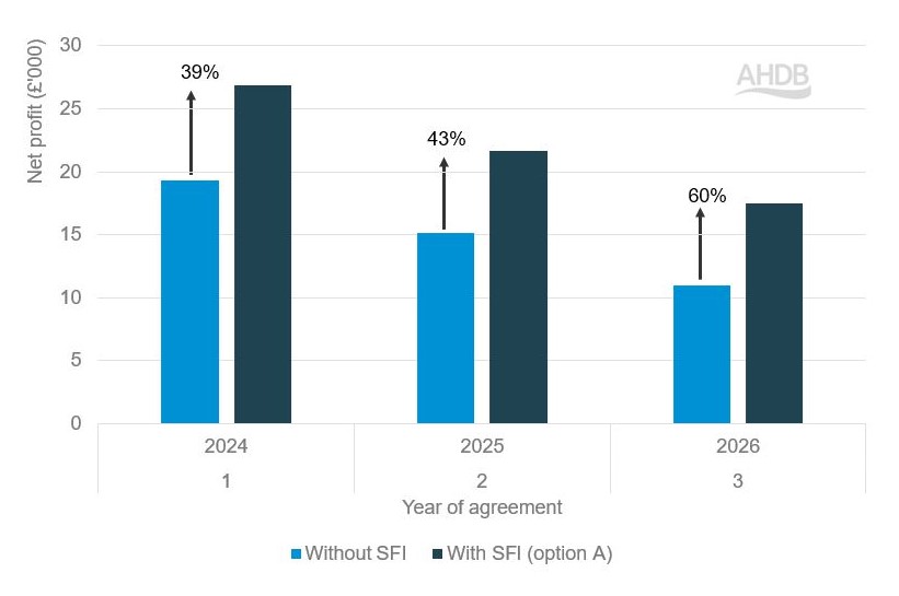 Stacking options for SFI 2024: Beef and lamb | AHDB