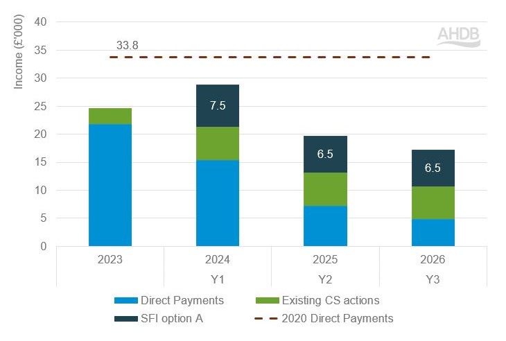 Stacking options for SFI 2024: Beef and lamb | AHDB