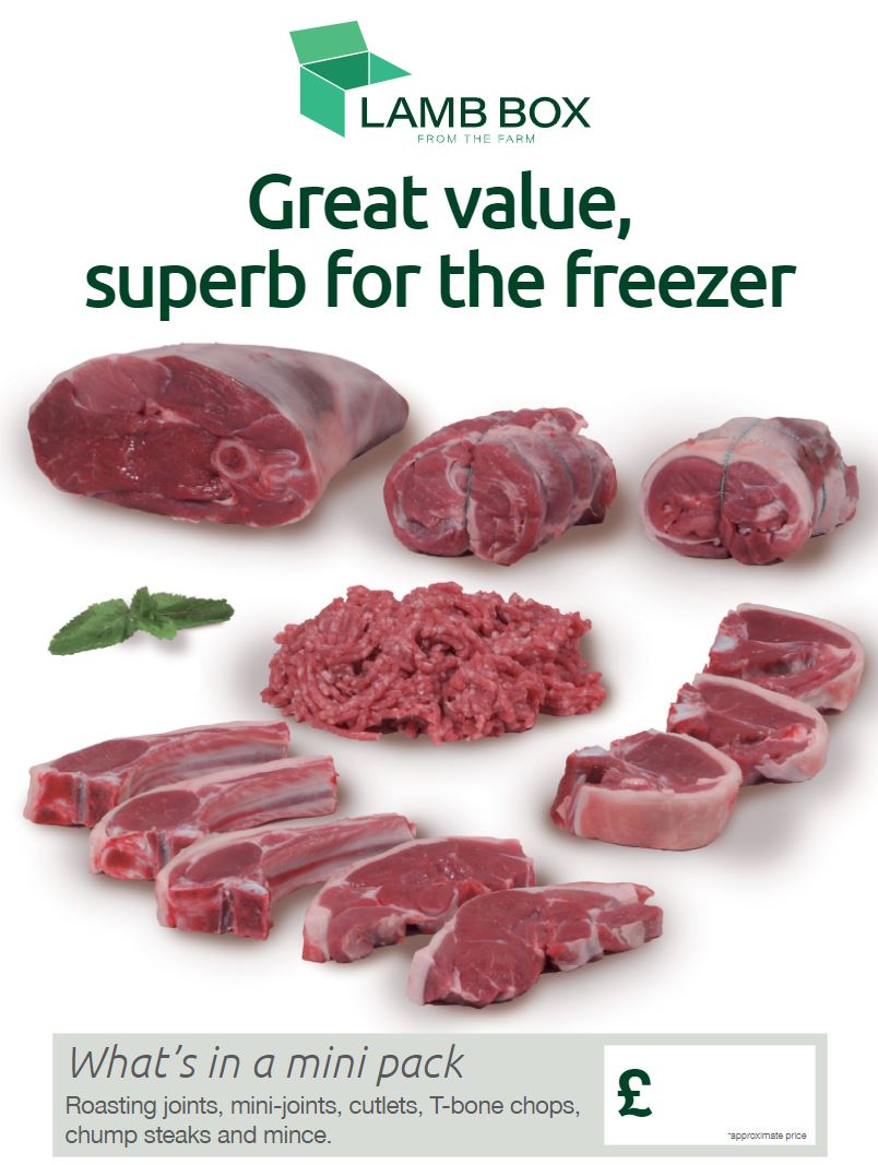Lamb Box Schemes | AHDB