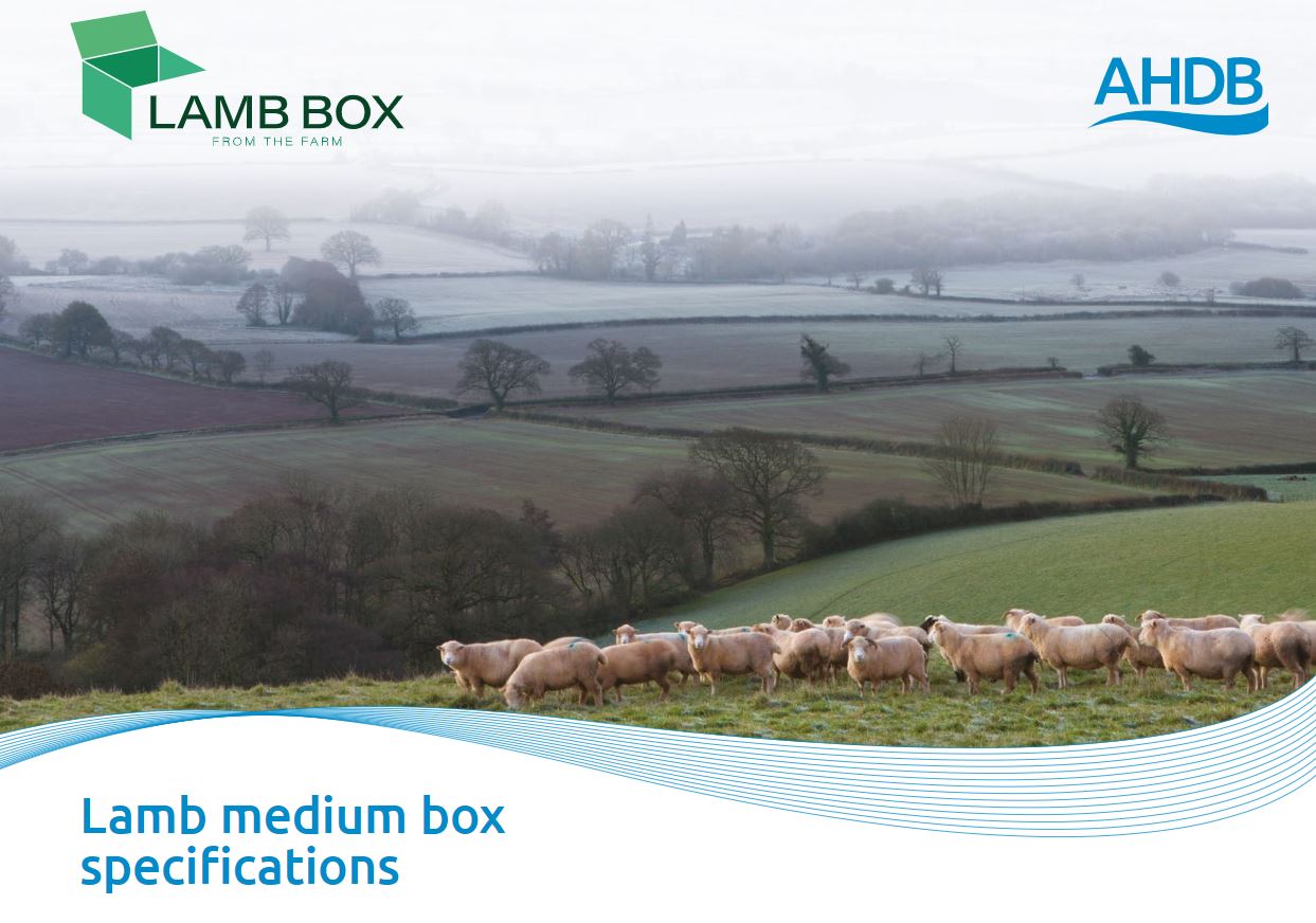 Lamb Box Schemes | AHDB