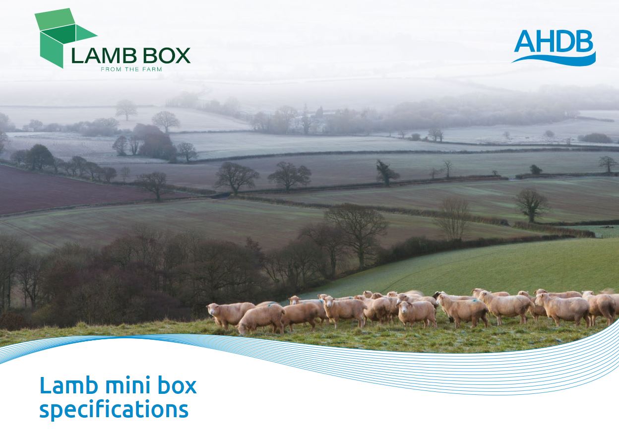 Lamb Box Schemes | AHDB