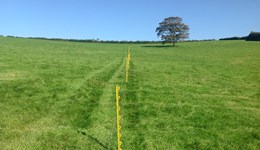 Rotational grazing systems for cattle | AHDB