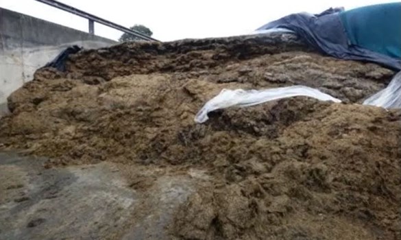 Lanark: Clamp silage slippage and optimising home grown forage | AHDB