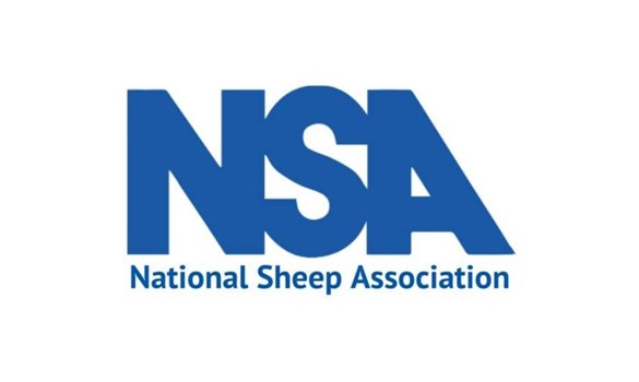 NSA Sheep South West | AHDB