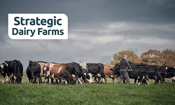 Derbyshire: Optimising soil nutrition - What’s in it for me? | AHDB