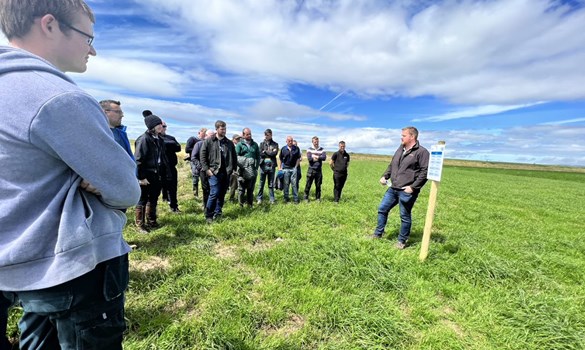 Limavady Monitor Farm: Measuring carbon and reducing your carbon ...