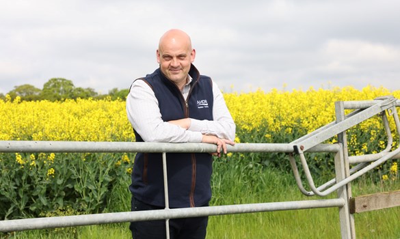 Norwich summer farm walk | AHDB