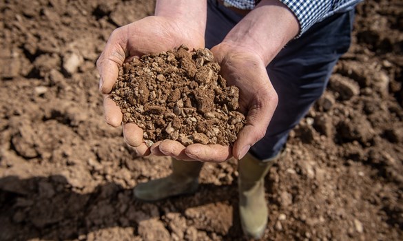 Monitor Farm Monday: Digging up the dirt on the soil health scorecard ...