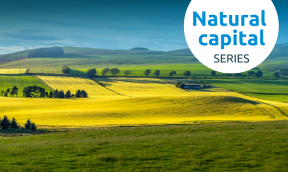 Lancashire financial event on unlocking natural capital | AHDB