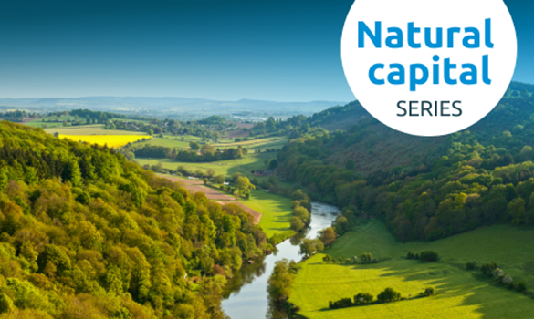 Oxfordshire – Natural capital: Leveraging environmental assets on farm ...
