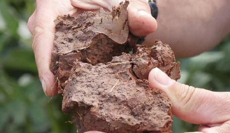 Great news for GREATsoils: AHDB issues Soil Health Scorecard guidance ...