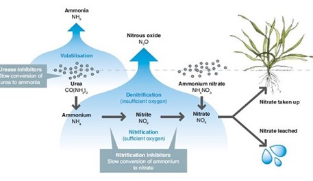 RB209 Section 4 Arable crops | AHDB