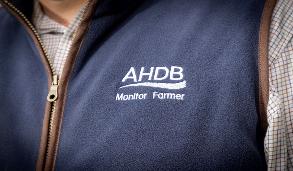 Cereals & Oilseeds | AHDB