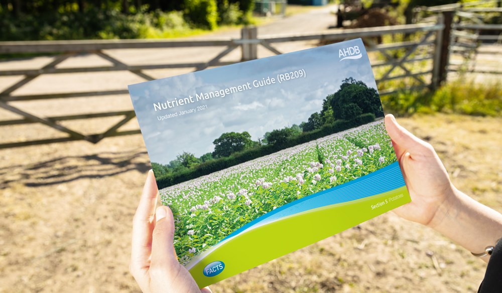 Cereals & Oilseeds | AHDB