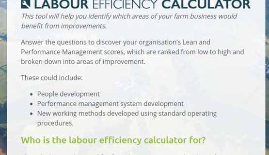 Calculate your business labour efficiency | AHDB