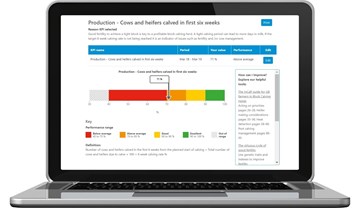 Block calving key performance indicators | AHDB