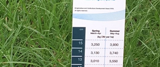 Water supplies, tracks and roadways for rotational grazing cattle | AHDB