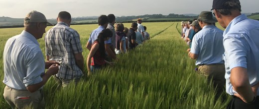 About AHDB Events | AHDB