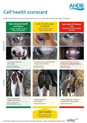 Calf Health Scorecard | AHDB
